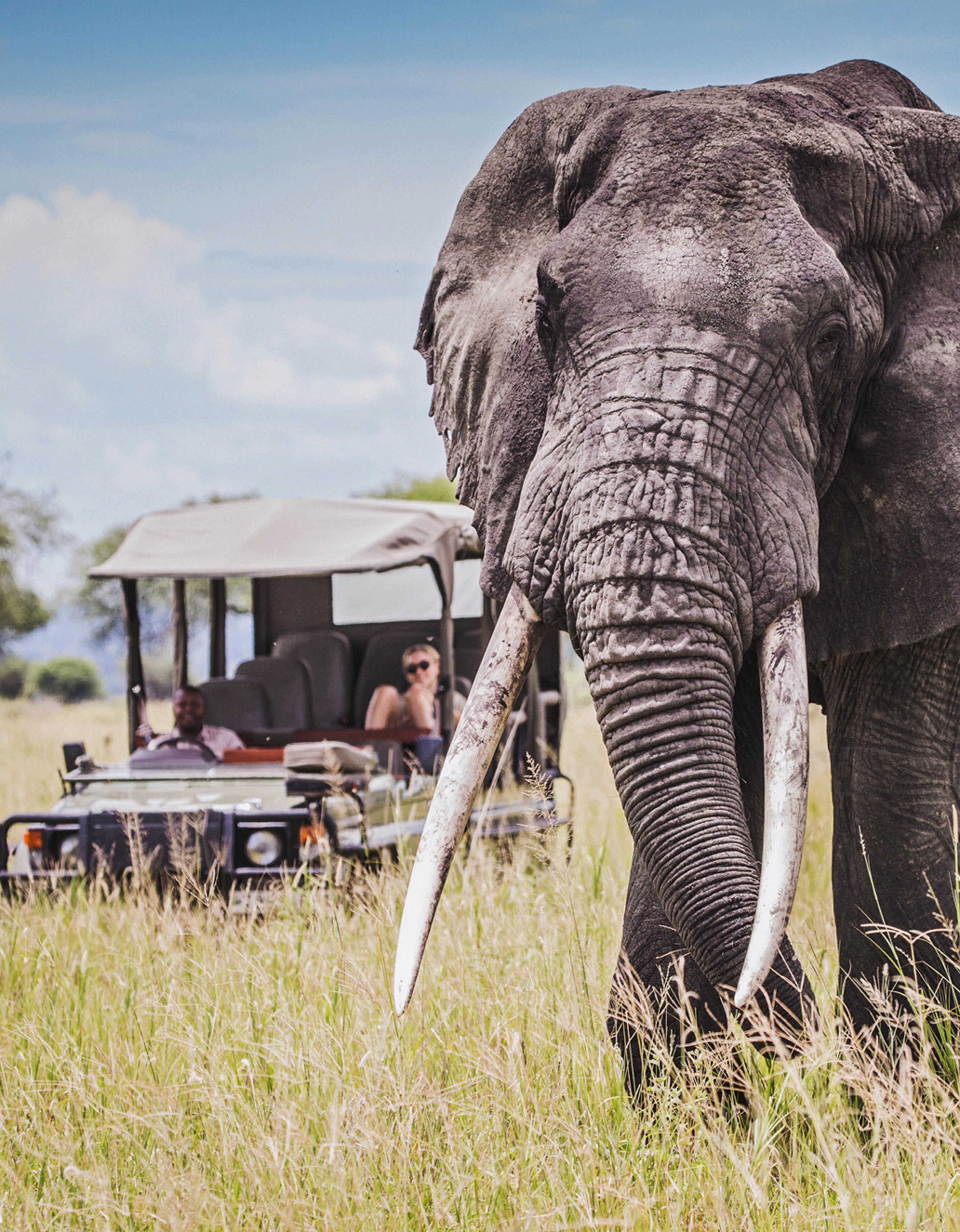 Chem Chem Properties